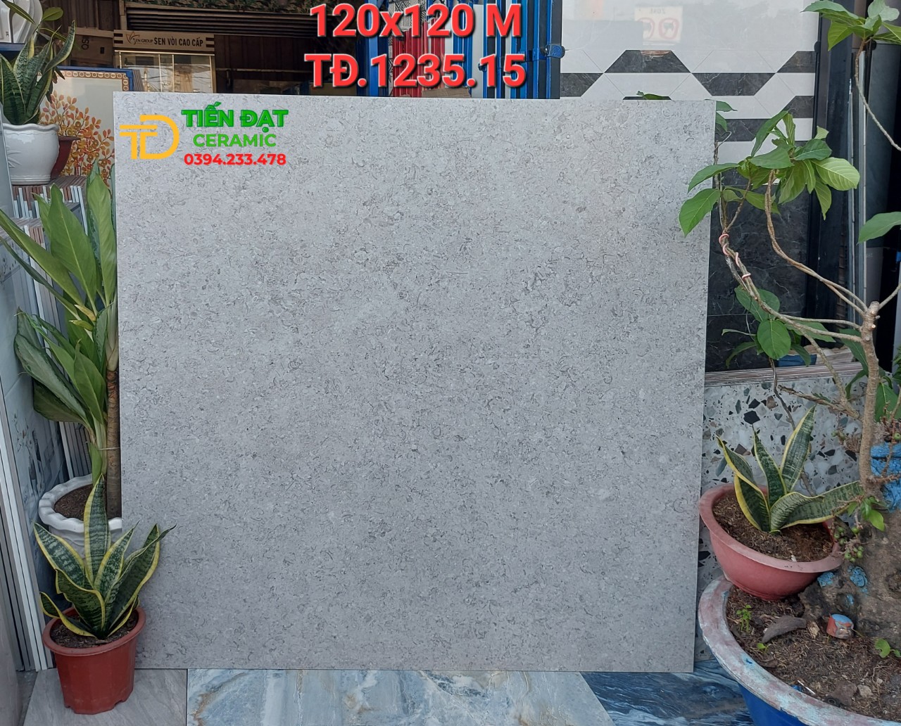 Gạch Đá Mờ Marble 120x120 Ốp Lát Mẫu Mới - Tổng - Khogachmiennam. tại ...